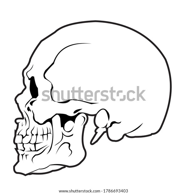 Skull Head Simple Line Art Stock Vector (Royalty Free) 1786693403 ...