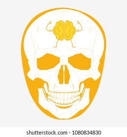 Skull Icon Gold Brain Vector Stock Vector (Royalty Free) 1080834830 ...