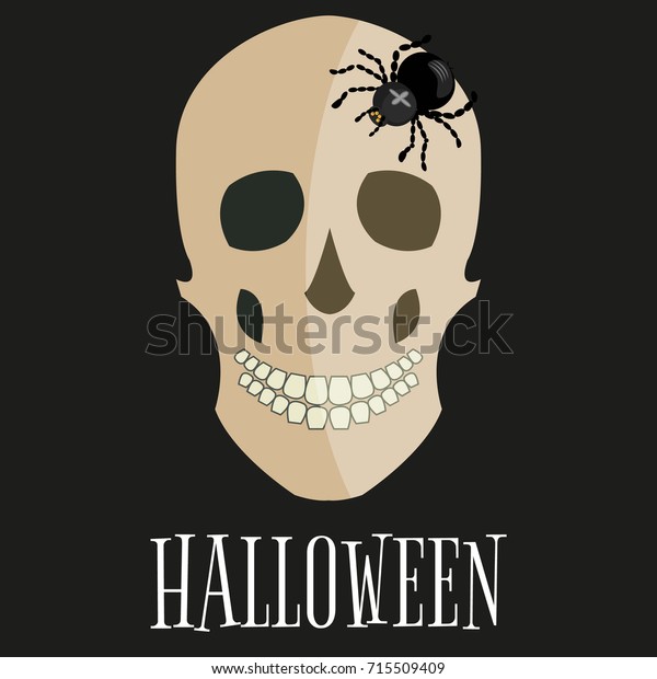 Skull Illustration Head Dead Bone Art Stock Vector (Royalty Free ...