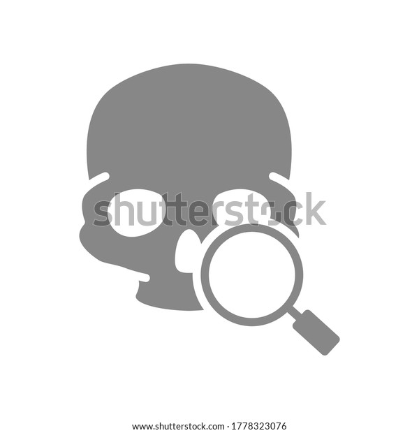 Skull Magnifying Glass Grey Icon Cranium Stock Vector (Royalty Free ...