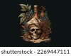 82+ Thousand Pirate Skeleton Royalty-Free Images, Stock Photos ...