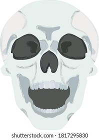 Skull Shadows On White Isolated Background Stock Vector (Royalty Free ...