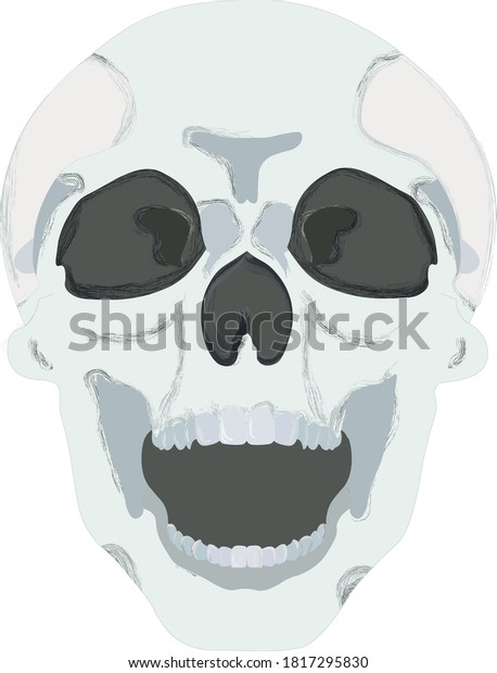 Skull Shadows On White Isolated Background Stock Vector (Royalty Free ...