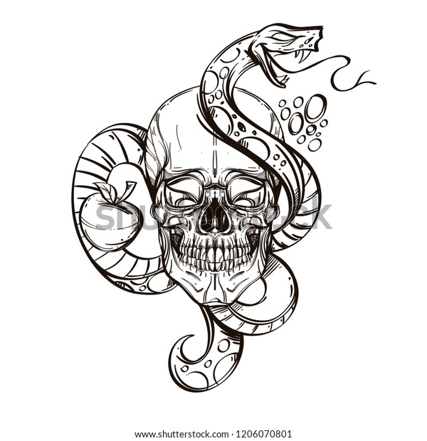 Skull Snake Outline Vector Illustration Isolated Stock Vector (Royalty ...
