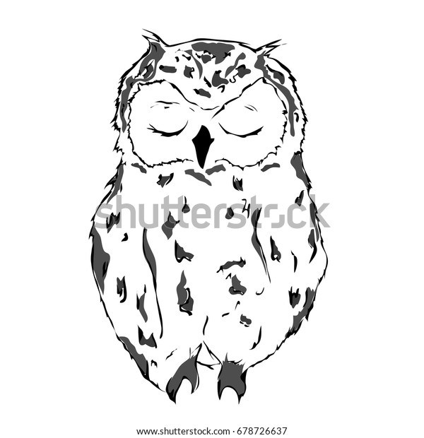 Sleeping Owl Sketch Vector Illustration Stock Vector (Royalty Free ...