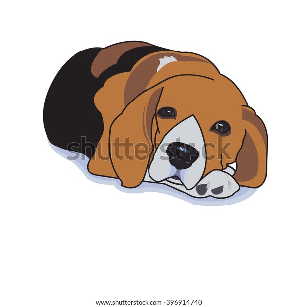Sleepy Beagle Shadow On White Backgroundvector Stock Vector (Royalty ...