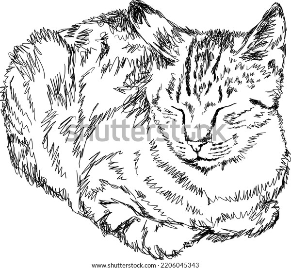 Sleepy Cat Sketch Drawing Isolated Vector Stock Vector (Royalty Free ...