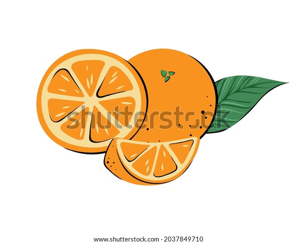 Sliced Half Orange Color Vector Stock Vector (Royalty Free) 2037849710 ...