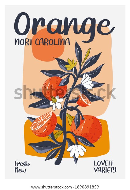 Slogan Orange Illustration Vector Graphics Tshirt Stock Vector (Royalty ...