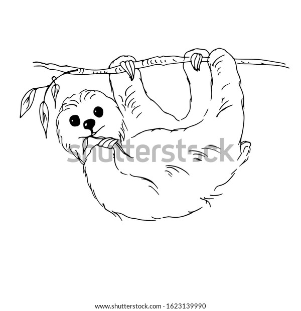 Sloth on a branch. Line art. Vector illustration.