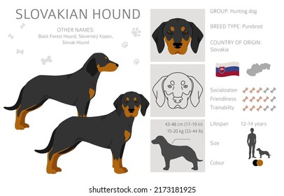 302 Slovak cartoon Images, Stock Photos & Vectors | Shutterstock