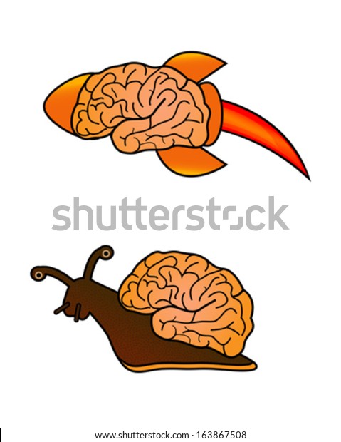 Slow Fast Brain Vector Illustration Stock Vector (Royalty Free ...