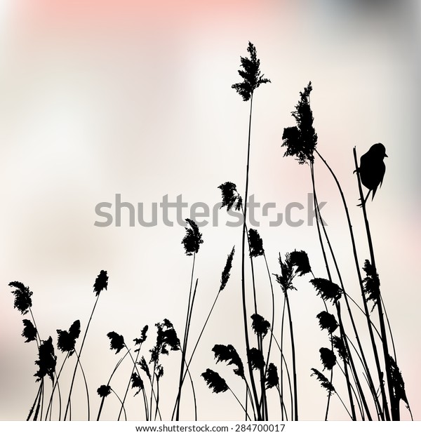 Small Bird Sitting On Reed Vector Stock Vector (Royalty Free) 284700017 ...
