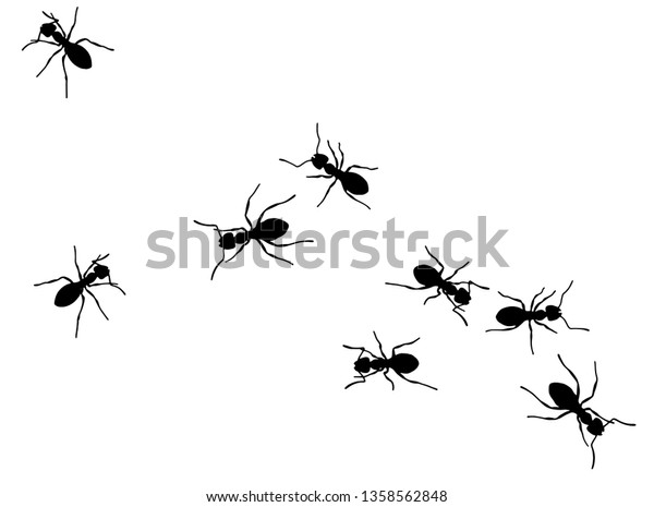 Small Colony Ants Black Vector Illustration Stock Vector (Royalty Free ...