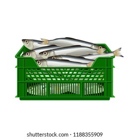 387 Fish crate Stock Illustrations, Images & Vectors | Shutterstock