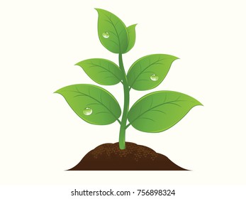 Small Green Plant Stock Vector (Royalty Free) 756898324 | Shutterstock
