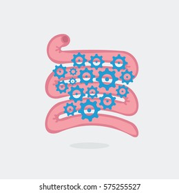 Small Intestine Vector Illustration Stock Vector (Royalty Free ...