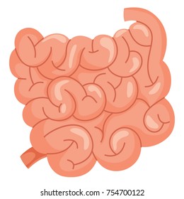 Small Intestine Vector Illustration Stock Vector (Royalty Free) 754700122