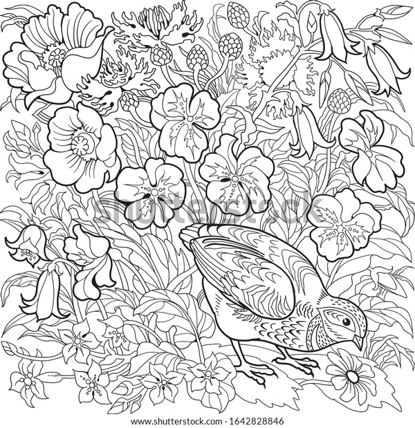 Small partridge, flowers and herbs. Coloring page