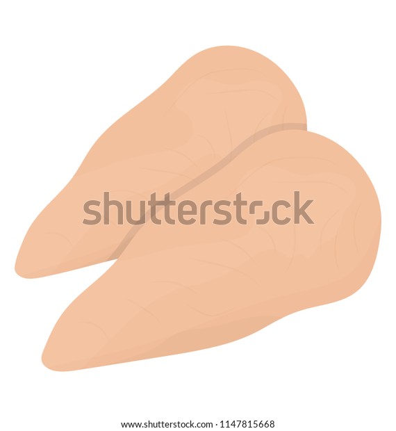 Small Piece White Meat Layer Skin Stock Vector (Royalty Free ...