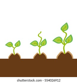 Three Plants Growing Ground Vector Illustration Stock Vector (Royalty ...