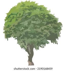Small Size Tree Landscaping Design Stock Vector (Royalty Free ...