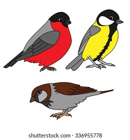 Watercolorsnigir Birdwatercolor Birdwatercolor Titsmall ...