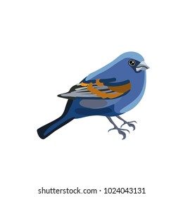 Smart Blue Bird Orange Wings Colorful Stock Vector (Royalty Free ...