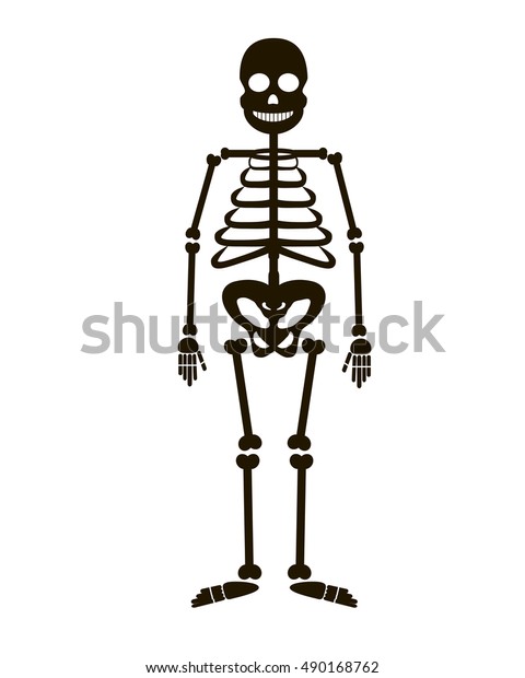 Smiling Skeleton Isolated On White Background Stockvektor (royaltyfri ...
