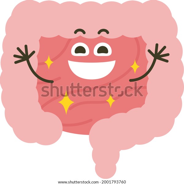 A smiling small intestine character. An illustration of the small ...