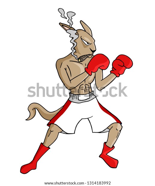 Smokingboxing Kangaroo Illustration Stock Vector (Royalty Free ...