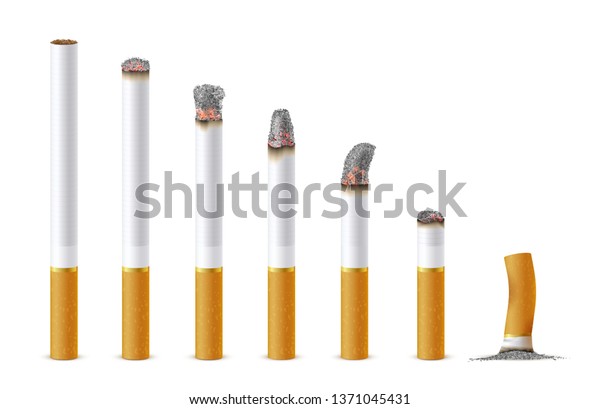 Smoldering Cigarette Line Set Realistic Style Stock Vector (Royalty ...