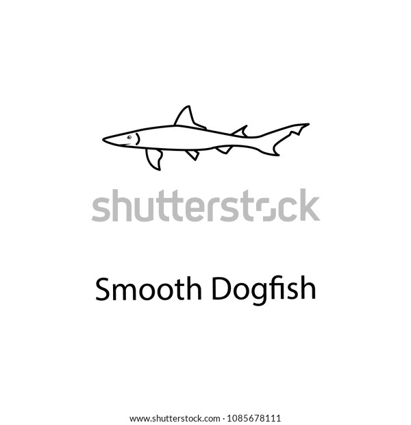 Smooth Dogfish Icon Element Marine Life Stock Vector (Royalty Free ...