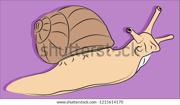 Snail Cartoon Vector Illustration Scanil Isolated Stock Vector (Royalty ...