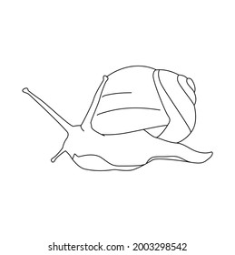 Snail Line Drawing Clip Art Stock Vector (Royalty Free) 2003298542 ...