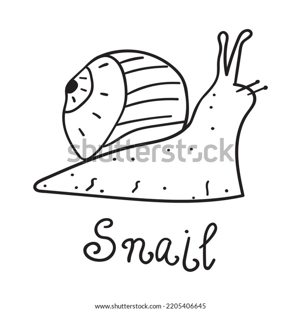 Snail Outline Vector Illustration On White Stock Vector (Royalty Free ...