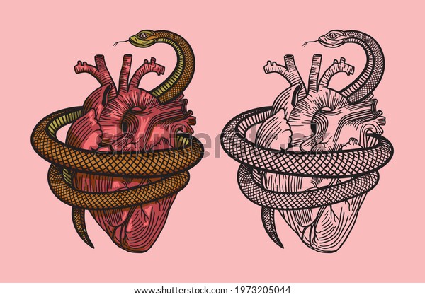 Snake Around Heart Colorful Vector Illustration Stock Vector (Royalty ...