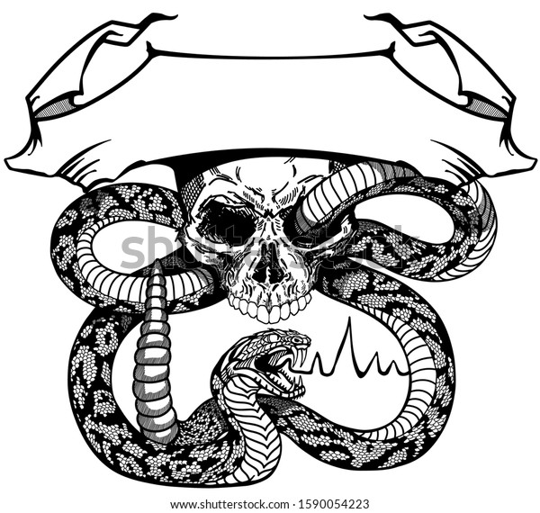 Snake Coiled Round Human Skull Angry Stock Vector (Royalty Free ...