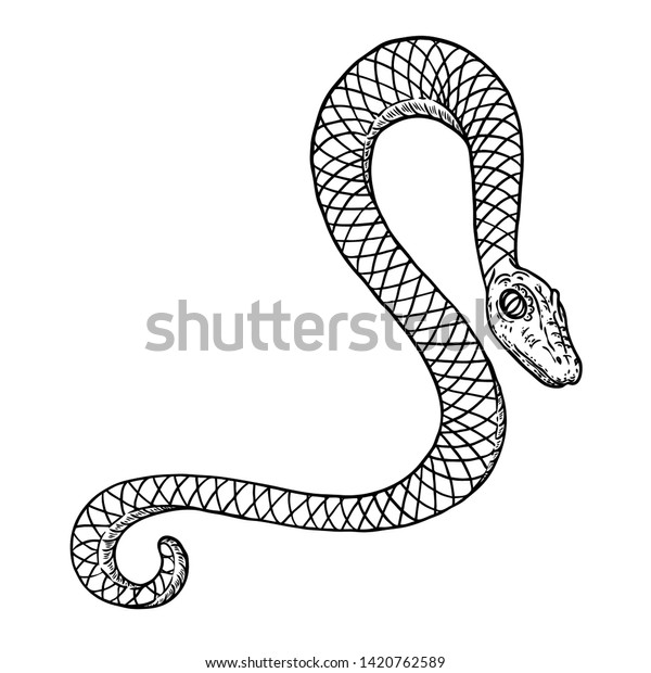 Snake Drawing Illustration Black Serpent Isolated Stock Vector (Royalty ...