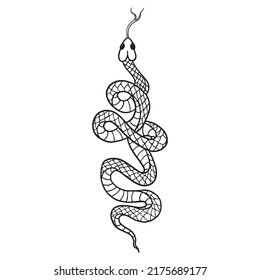 Snake Graphic Design Vector Illustration Art Stock Vector (Royalty Free ...