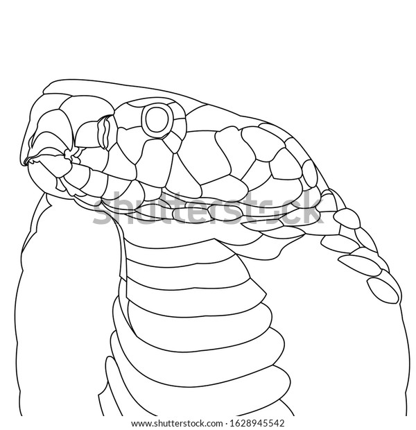Vektor Stok Snake Line Art White Background Logo (Tanpa Royalti ...