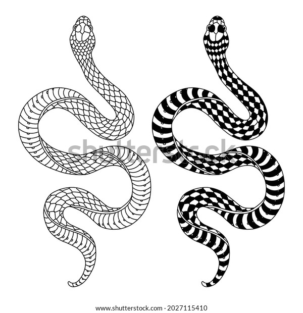Snake Line Art White Background Logo Stock Vector (Royalty Free) 2027115410