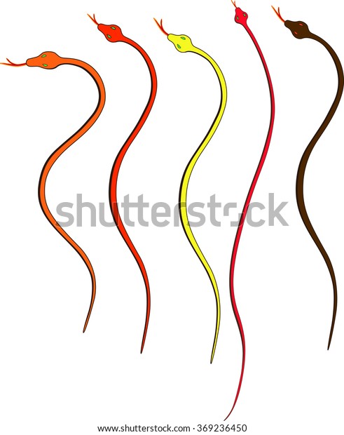 Snakes Cartoon length and width / Poisonous Snakes / Poisonous Snakes