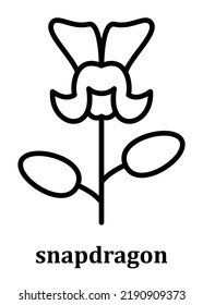 Snapdragon Vector Linear Icon Snapdragon Flower Stock Vector (Royalty ...