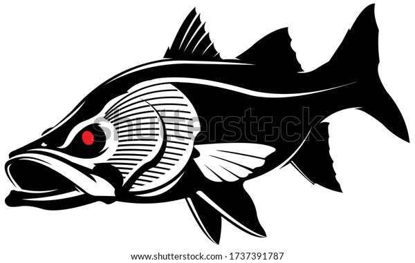 Snook Fish Illustration Fresh Unique Snook Stock Vector (Royalty Free ...