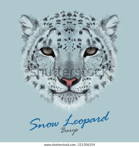 Snow Leopard Animal Cute Face Vector Stock Vector (Royalty Free ...