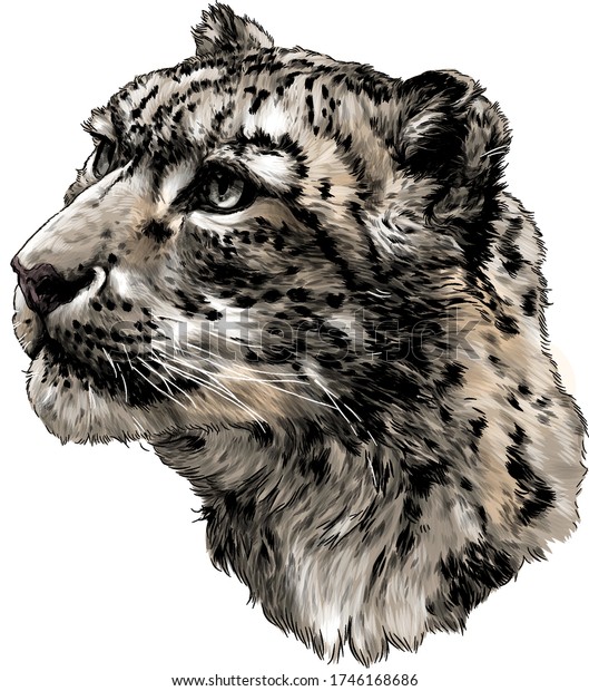 Snow Leopard Animal Head Profile Close Stock Vector (Royalty Free ...