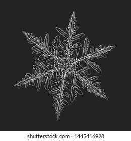 Dendrite Stock Vectors, Images & Vector Art | Shutterstock