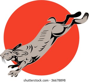 Snowshoe Hare Jumping Stock Vector (Royalty Free) 36678898 | Shutterstock