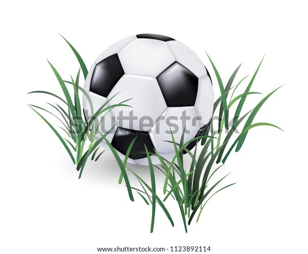 Soccer Ball Grass Vector Clipart Sticker: เวกเตอร์สต็อก (ปลอดค่า ...